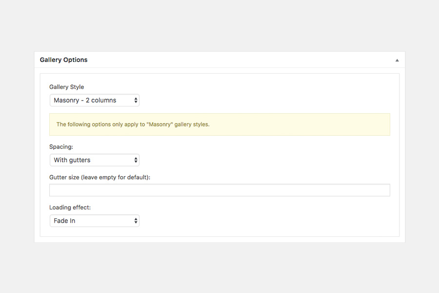 Lense • Portfolio WordPress Theme • CSSIgniter
