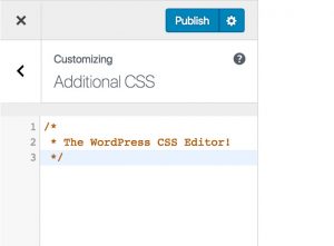 WordPress CSS Customizer - Using the DevTools and CSS to customize your theme - Practical ...