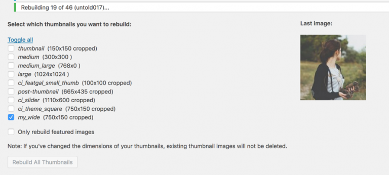 How to add custom image sizes to your theme • CSSIgniter